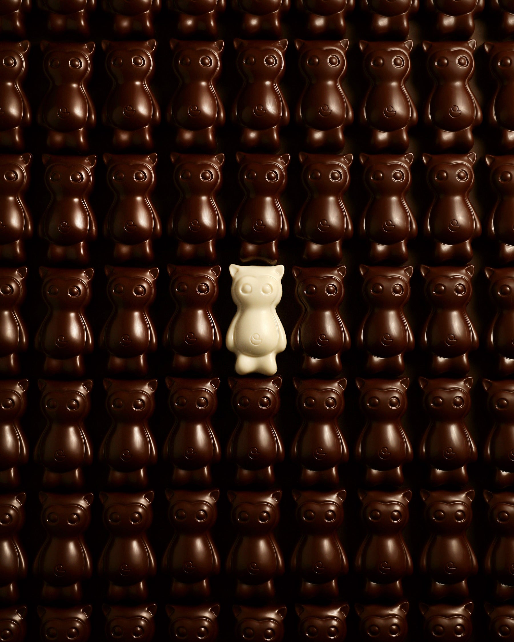 Cedric and the Chocolate Factory | Pastry Chocolate | Cedric et la ...